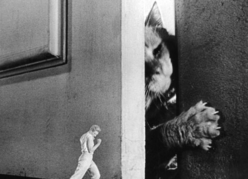 Programmation 2020-2021